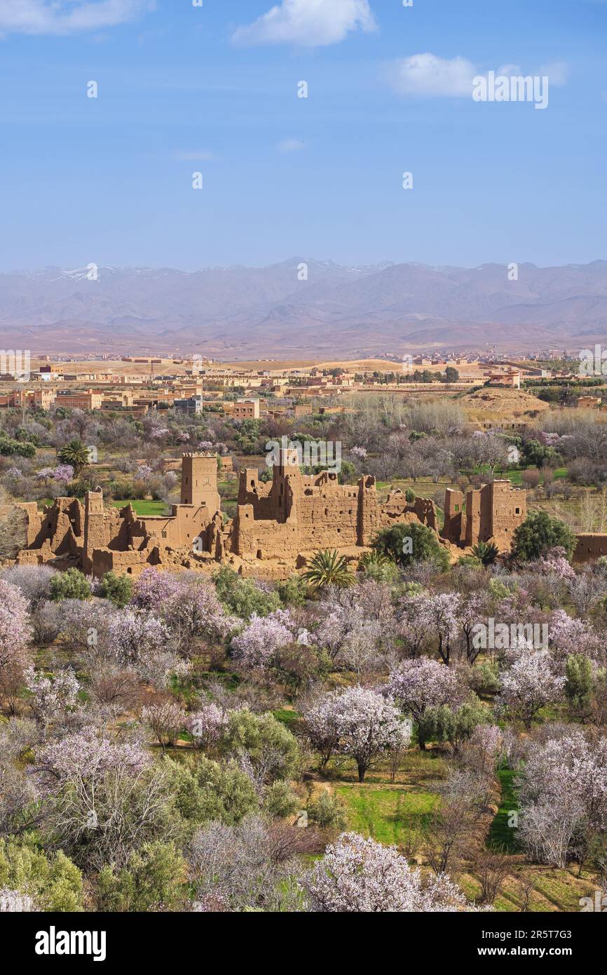 Morocco, Roses Valley, surroundings of El Kelaâ M'Gouna, kasbah in ...