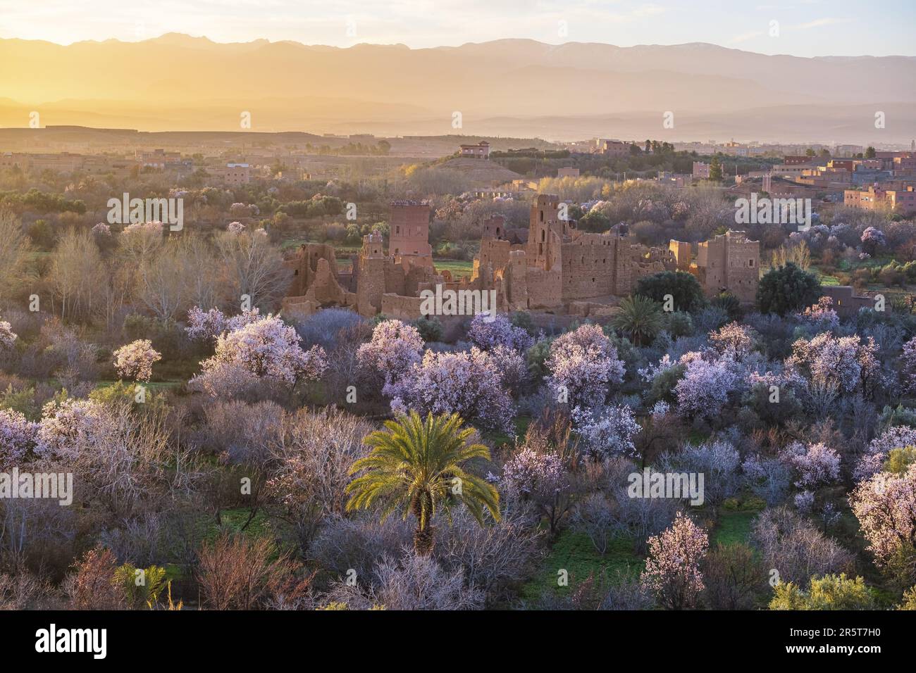 Morocco, Roses Valley, surroundings of El Kelaâ M'Gouna, kasbah in ...