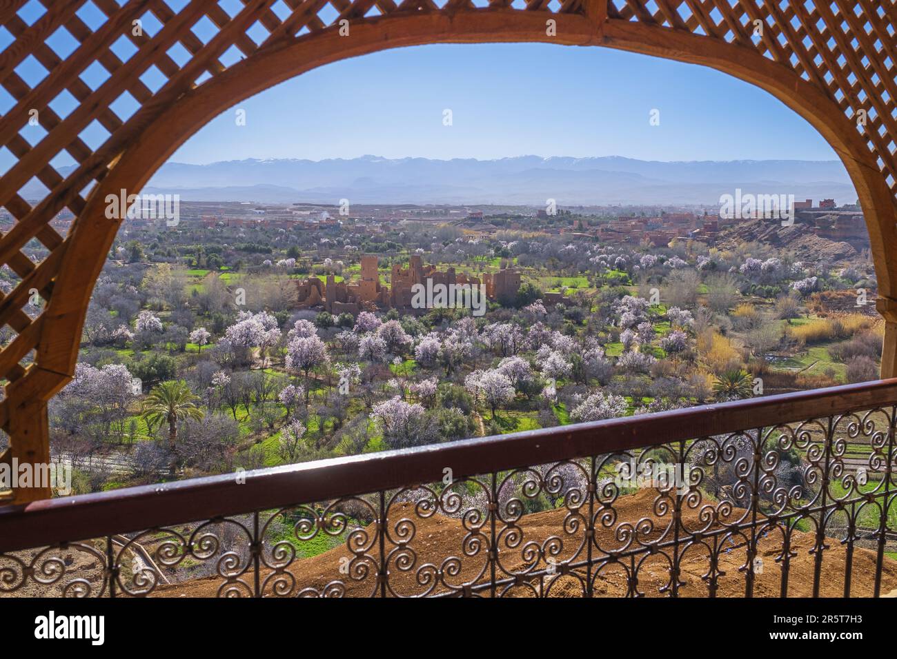 Morocco, Roses Valley, surroundings of El Kelaâ M'Gouna, the guest ...