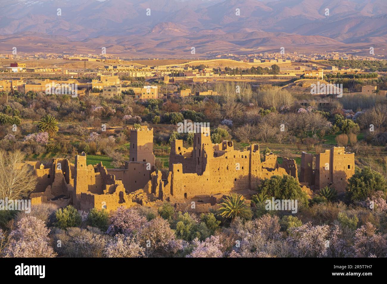 Morocco, Roses Valley, surroundings of El Kelaâ M'Gouna, kasbah in ...