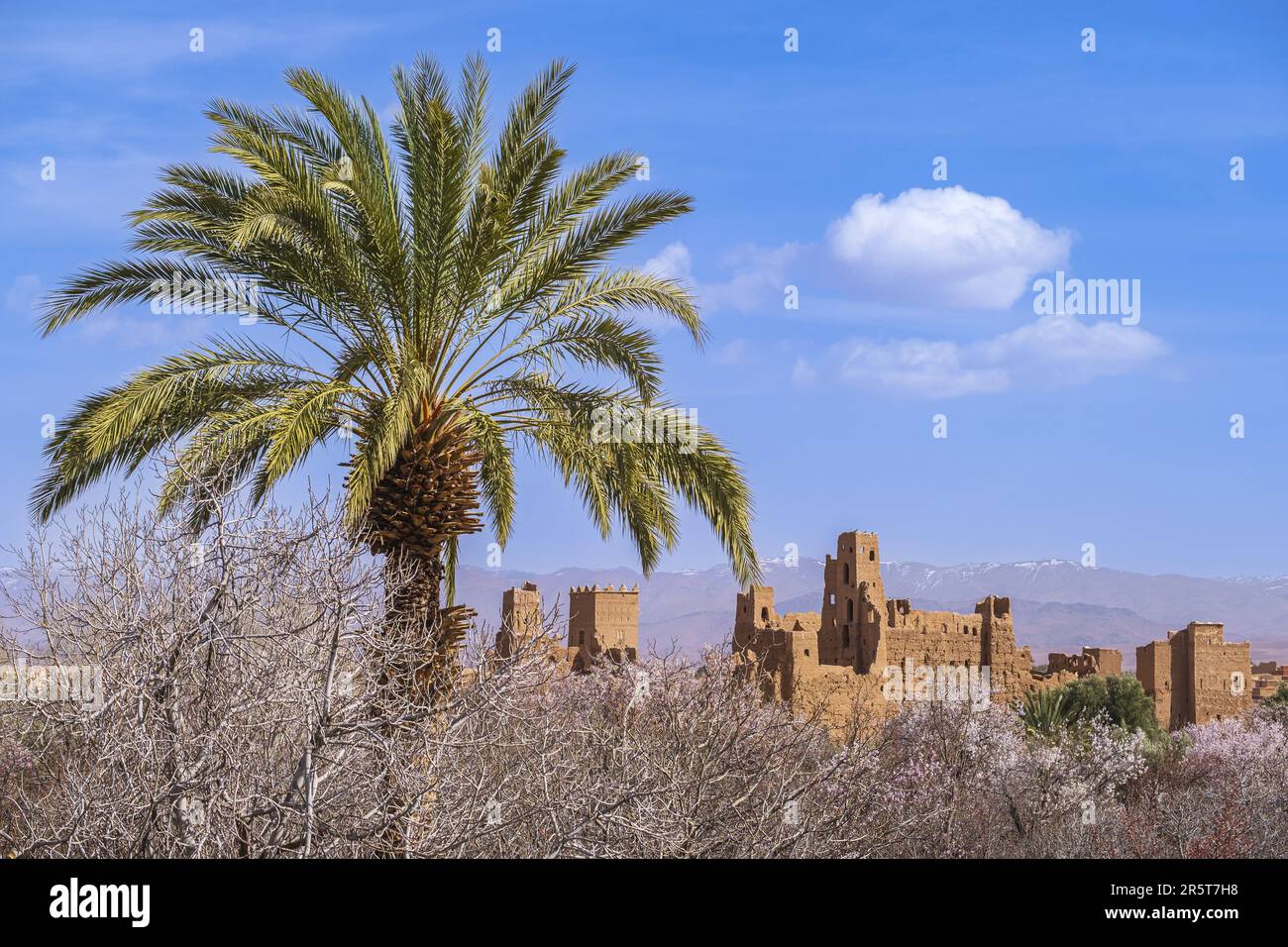 Morocco, Roses Valley, surroundings of El Kelaâ M'Gouna, kasbah in ...