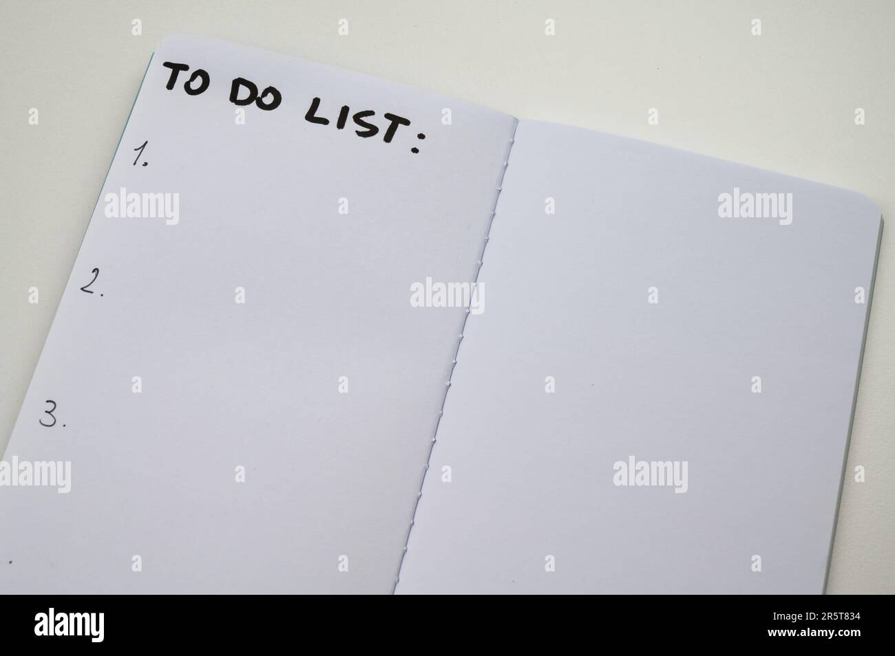 Diary Page Design Blank