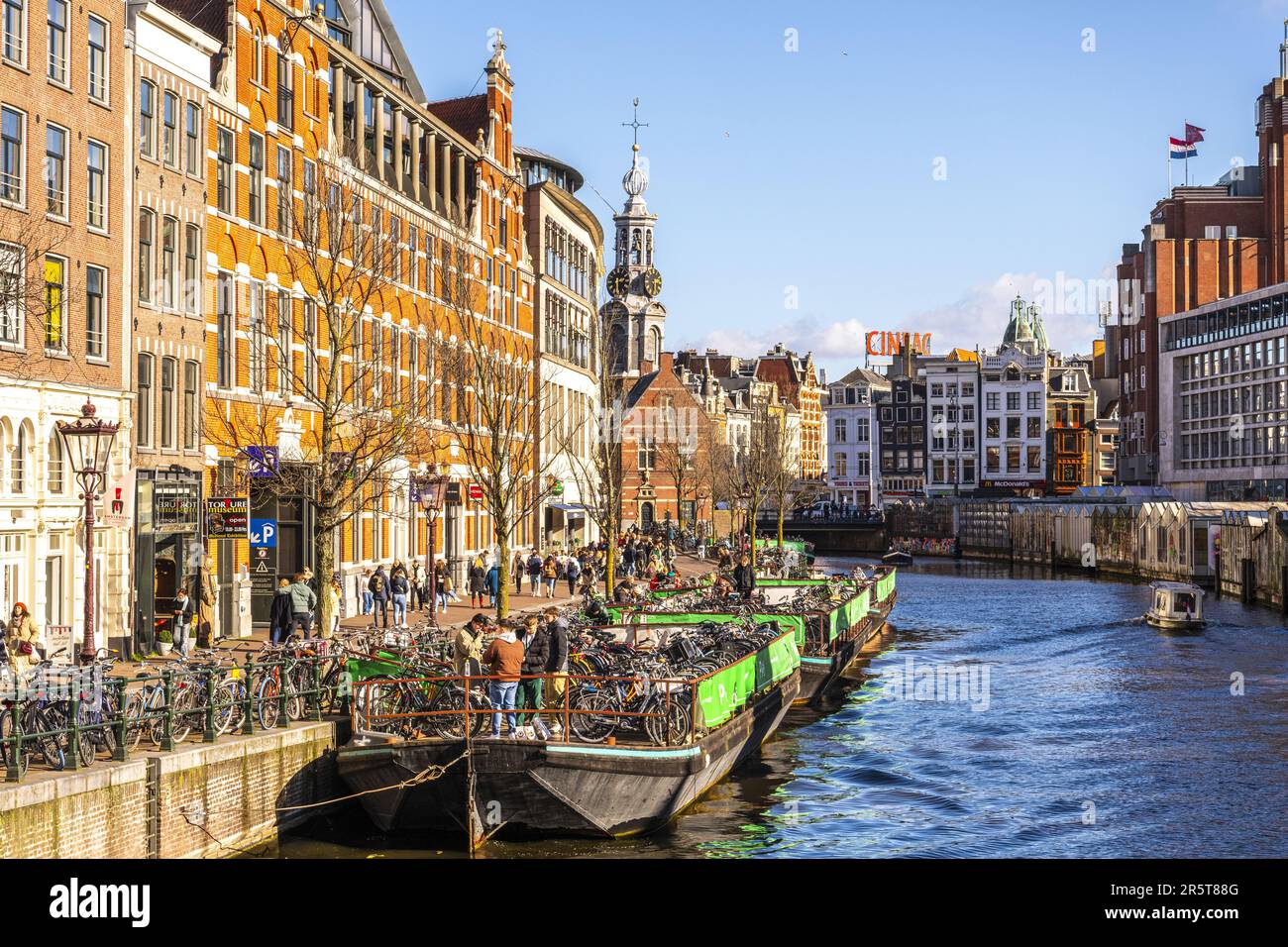 Netherlands, Northern Holland province, Amsterdam, The Bloemenmarkt is ...