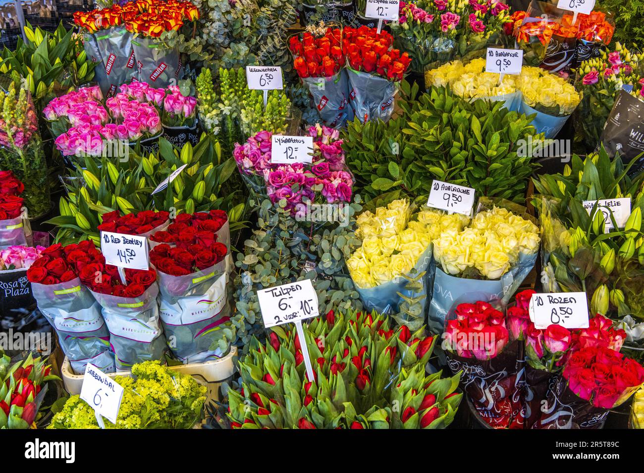 Netherlands, Northern Holland province, Amsterdam, The Bloemenmarkt is ...