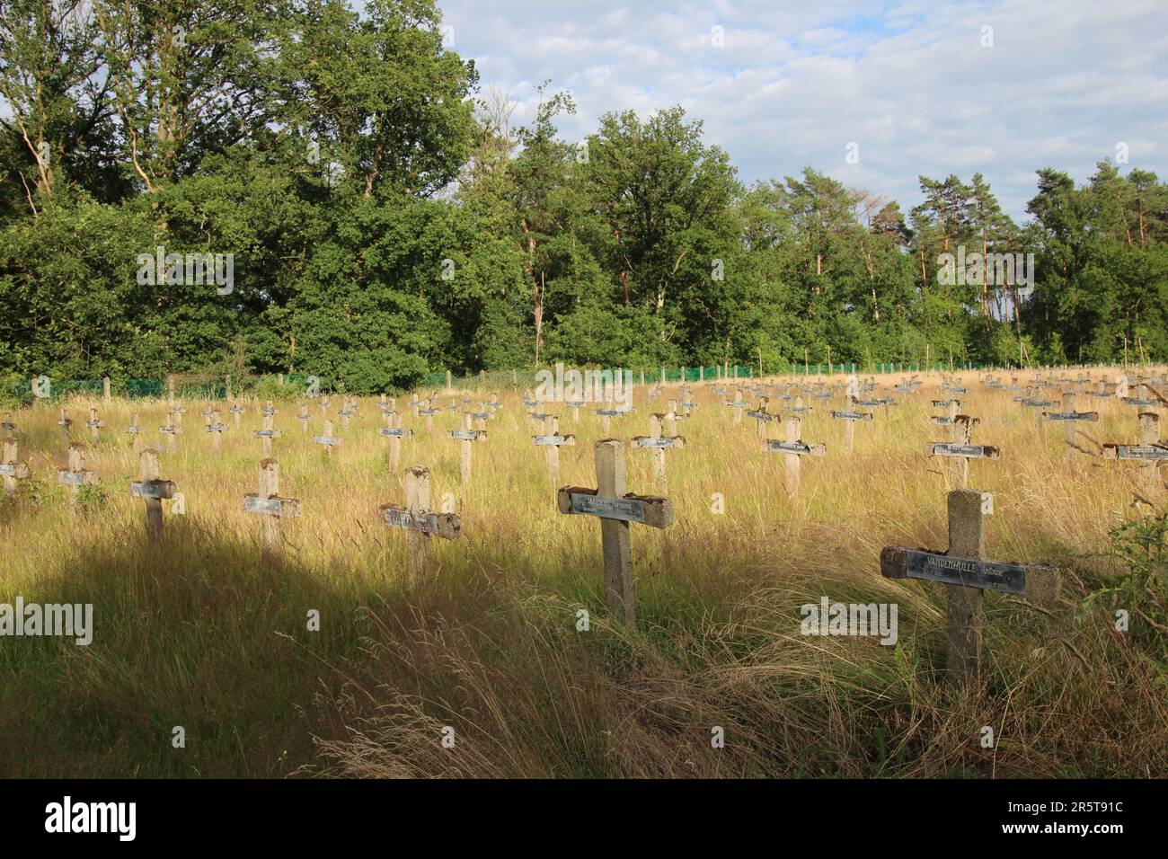 A scenic outdoor view of a grassy meadow with multiple wooden crosses ...