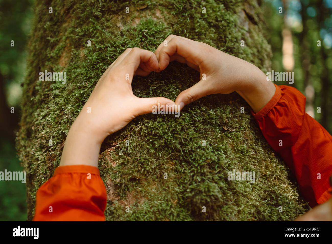 Heart hand on tree with moss, loving the nature Stock Photo - Alamy