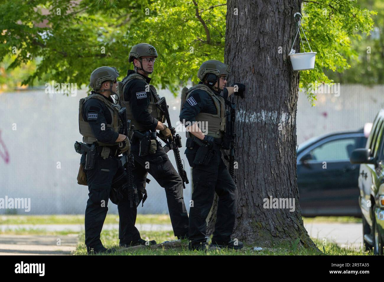 A group of Chicago Police SWAT officers take cover behind a tree near ...
