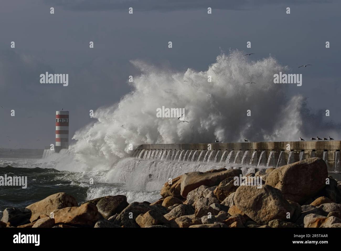 Big wave splash at the new south pier and beacon from Douro river mouth ...