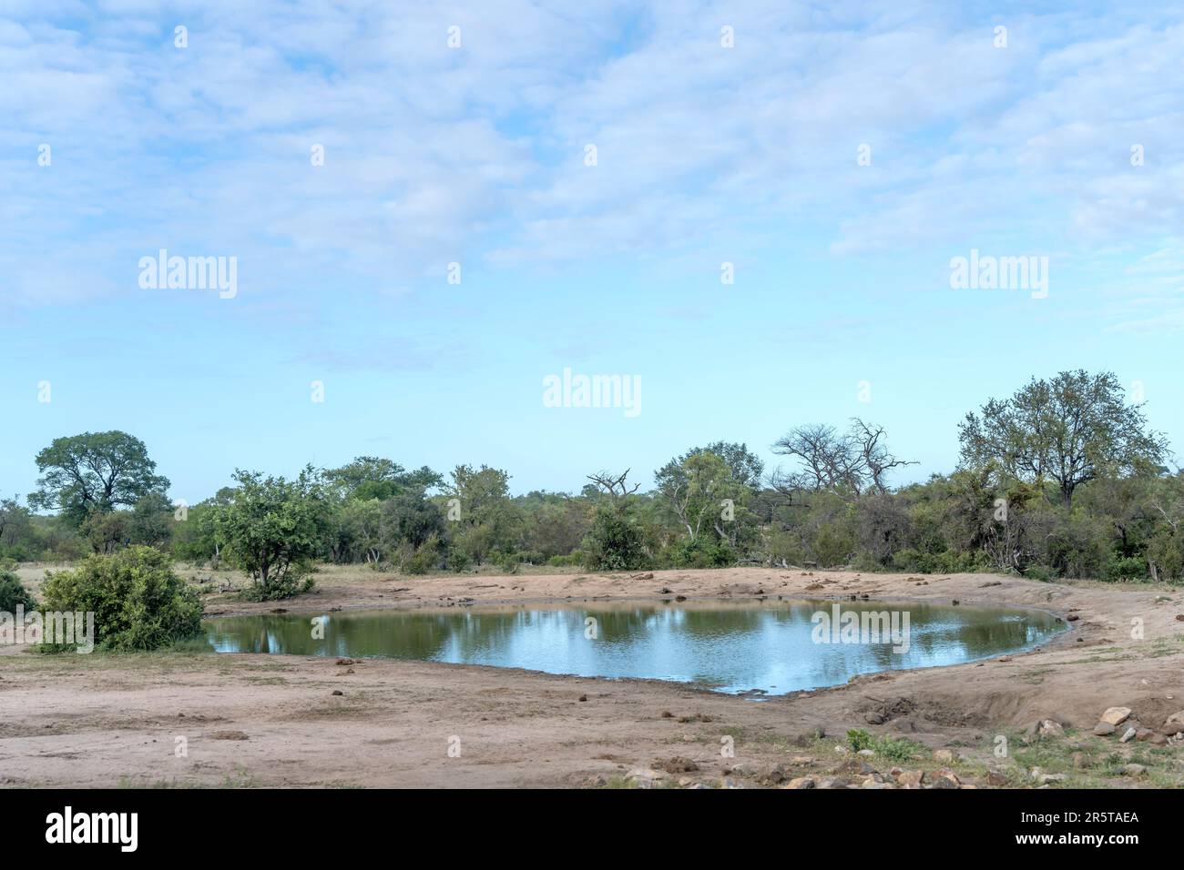 Lush african countryside hi-res stock photography and images - Alamy