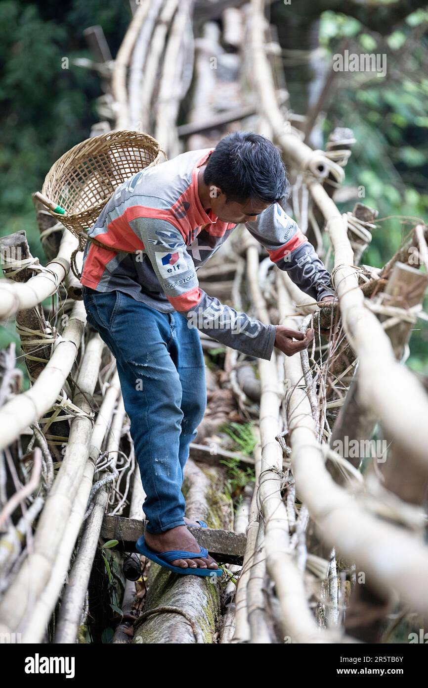 Local Khasi man with basket on his back repairing the biggest living ...