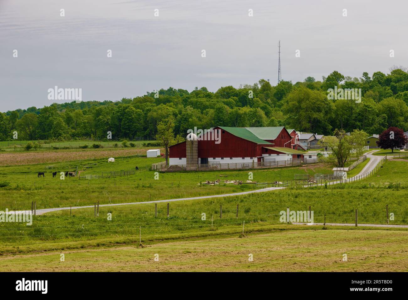 Amish farm ohio hi-res stock photography and images - Alamy