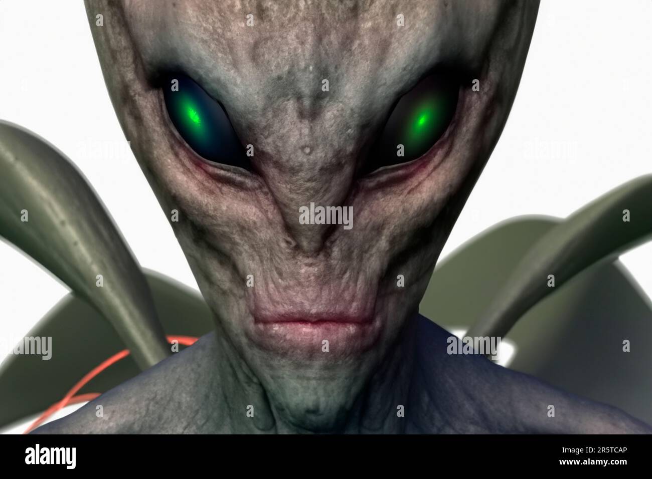 Humanoid Creature Sightings