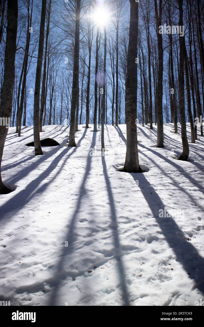 Mantle of snow hi-res stock photography and images - Alamy