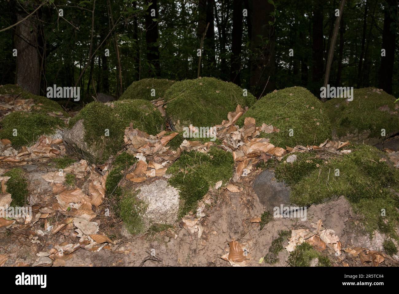 Stiernsee hi-res stock photography and images - Alamy