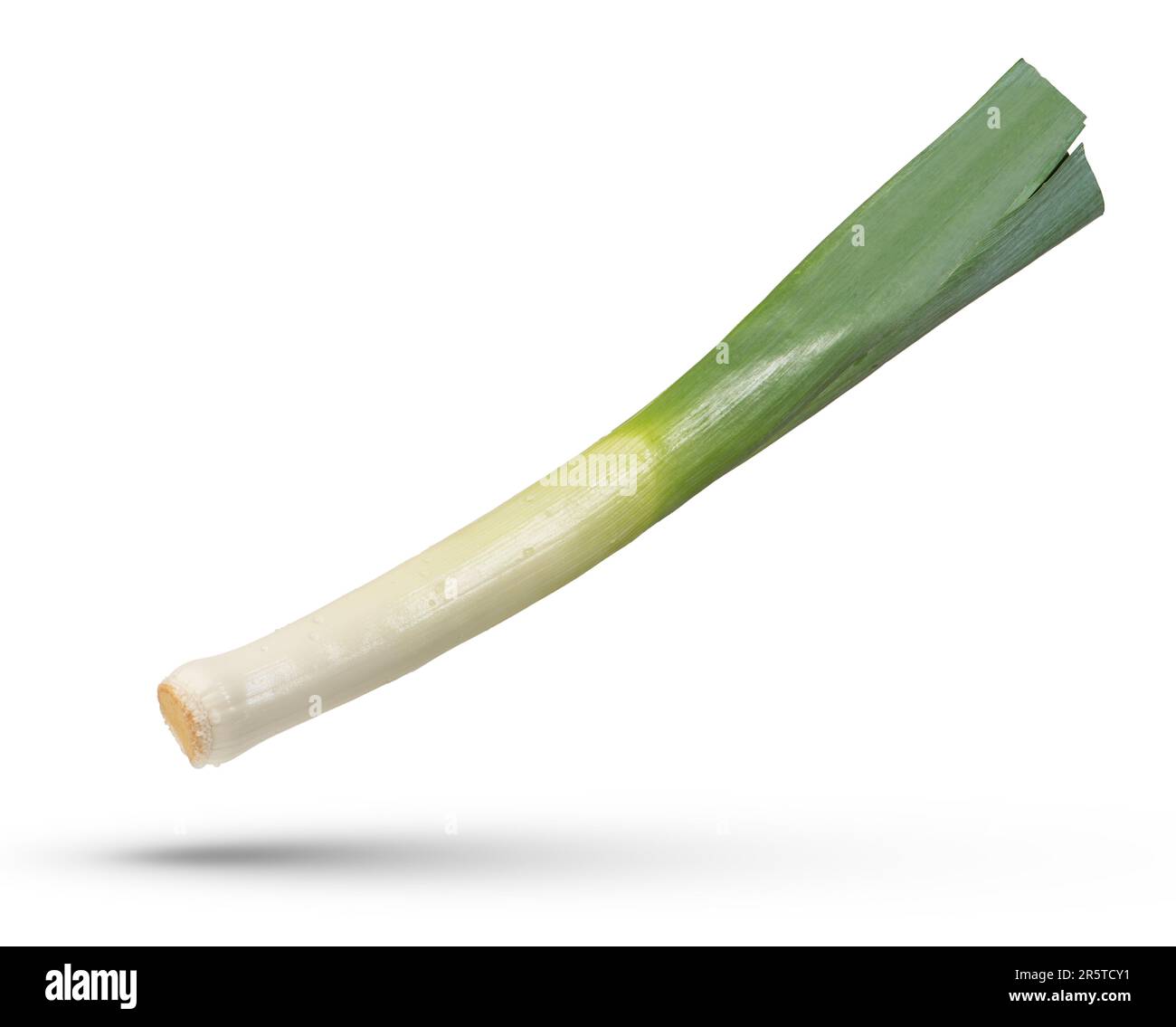Full size leek. Leek isolated on white background. The concept of tasty ...