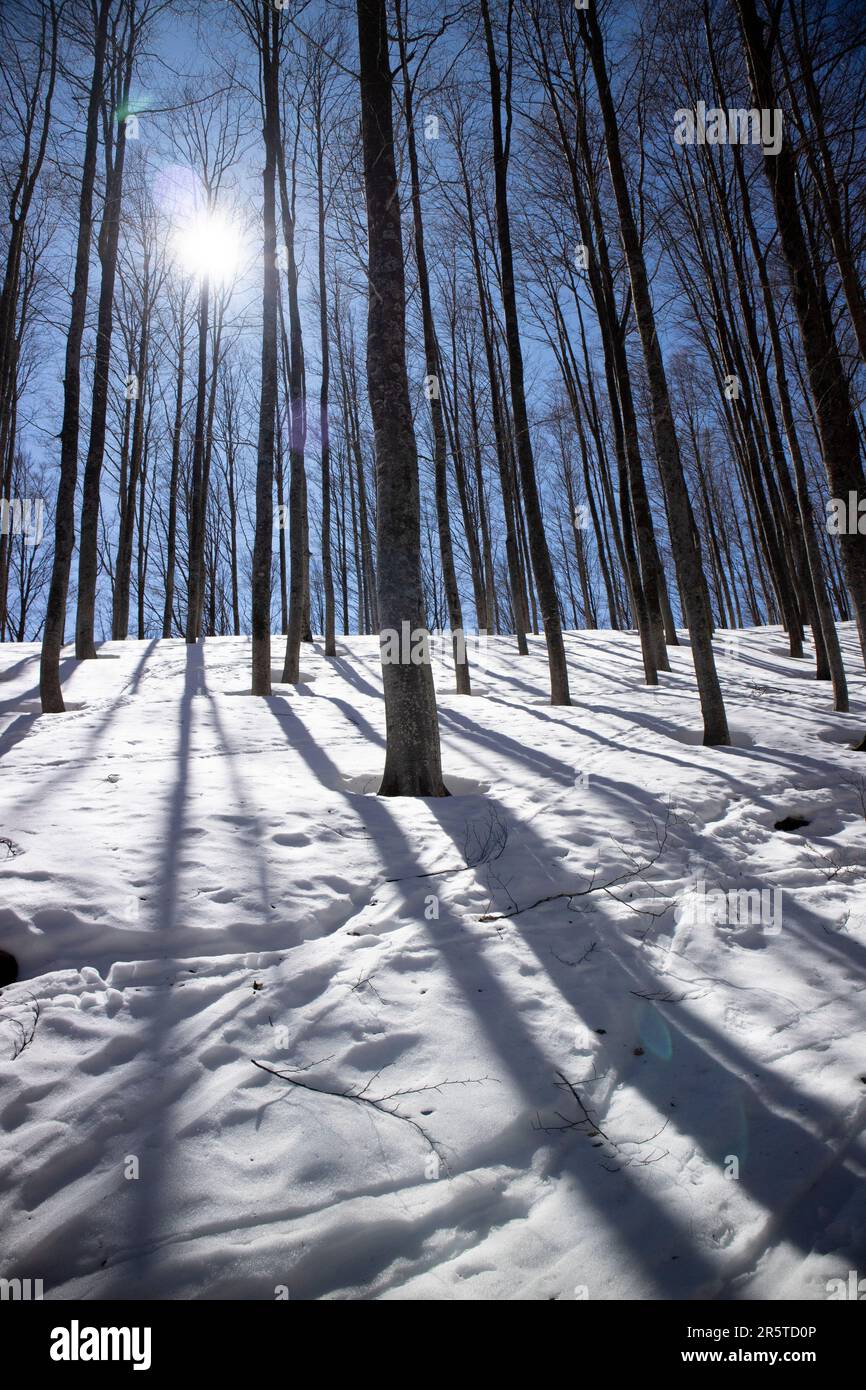 Mantle of snow hi-res stock photography and images - Alamy