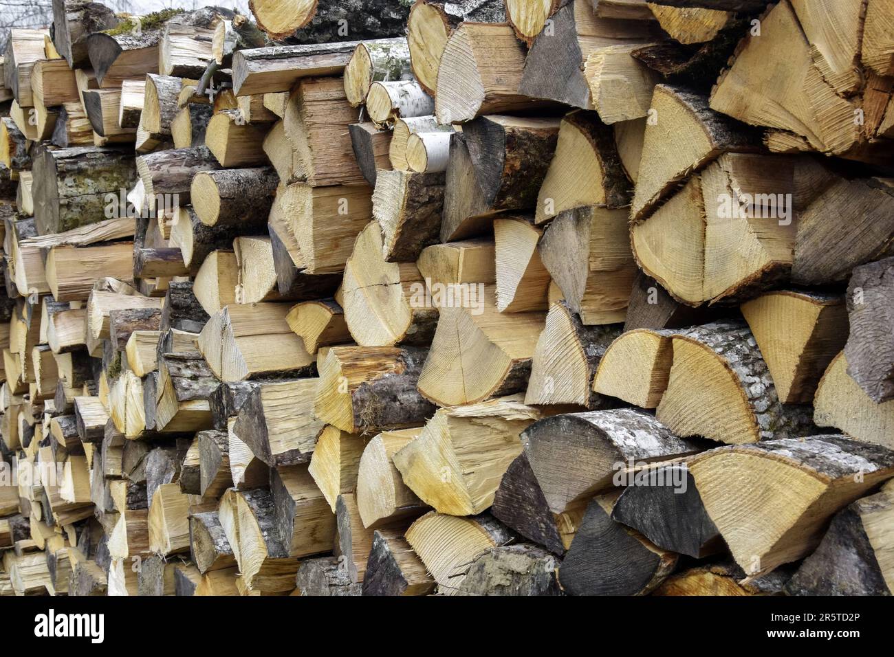 Sawn wood is stacked in woodpile. Wall of old wooden logs with cracked ...