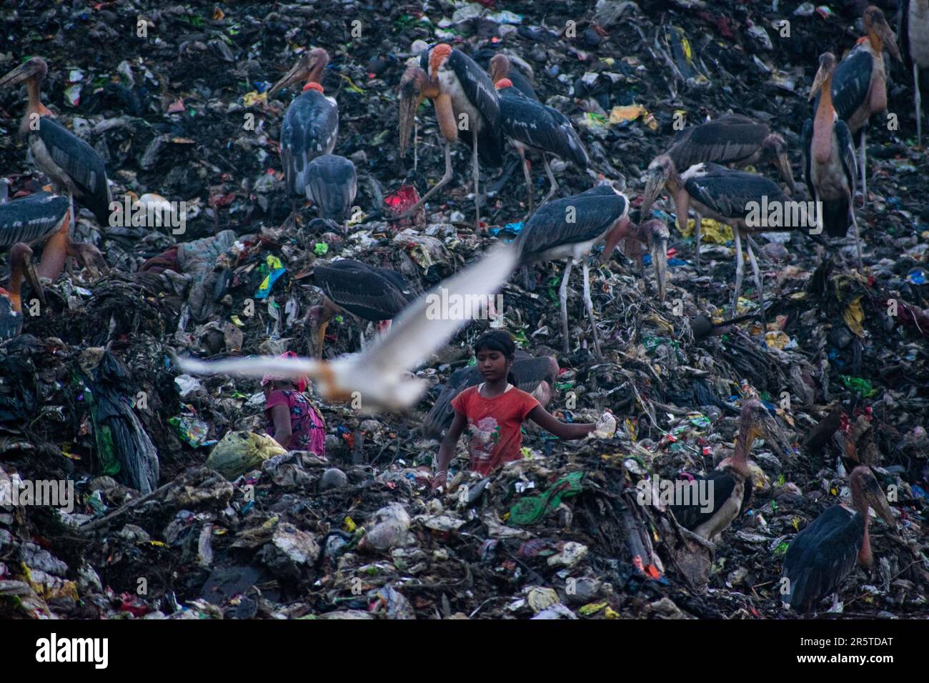 GUWAHATI, INDIA - JUNE 4: A child ragpicker collect reusable items as ...