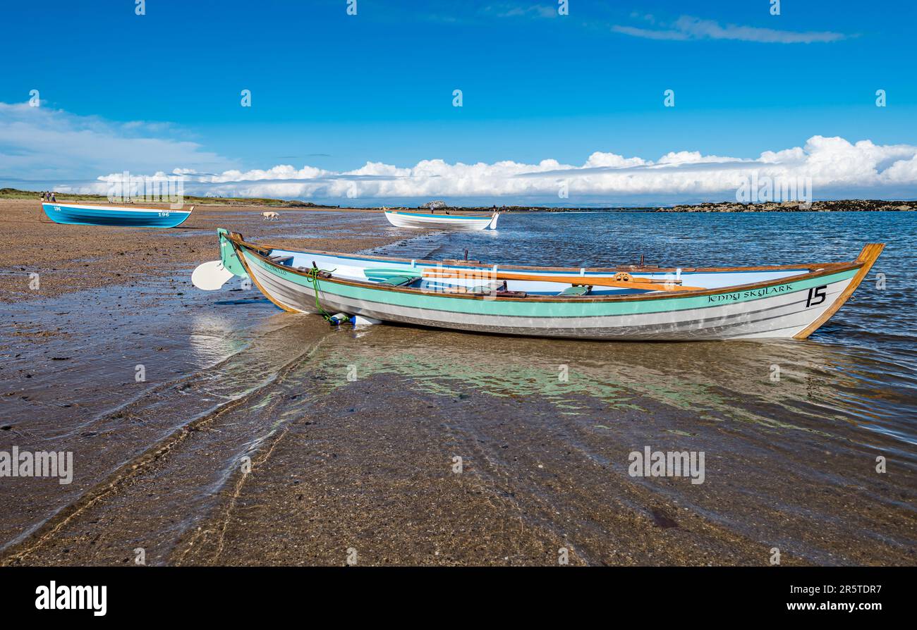 St Ayles' skiffs boats on beach in coastal rowing regatta, Firth of Forth, North Berwick, East ...