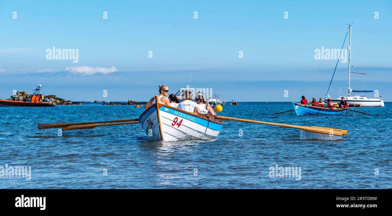 Crews rowing in St Ayles' skiffs boats in coastal rowing regatta in sunny weather, Firth of ...