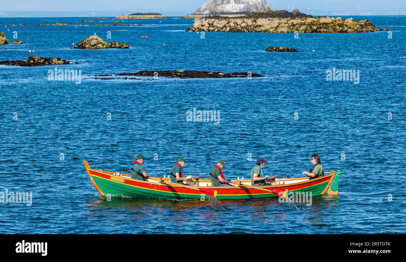 Crew rowing in St Ayles skiff boat in coastal rowing regatta in sunny weather, Firth of Forth ...