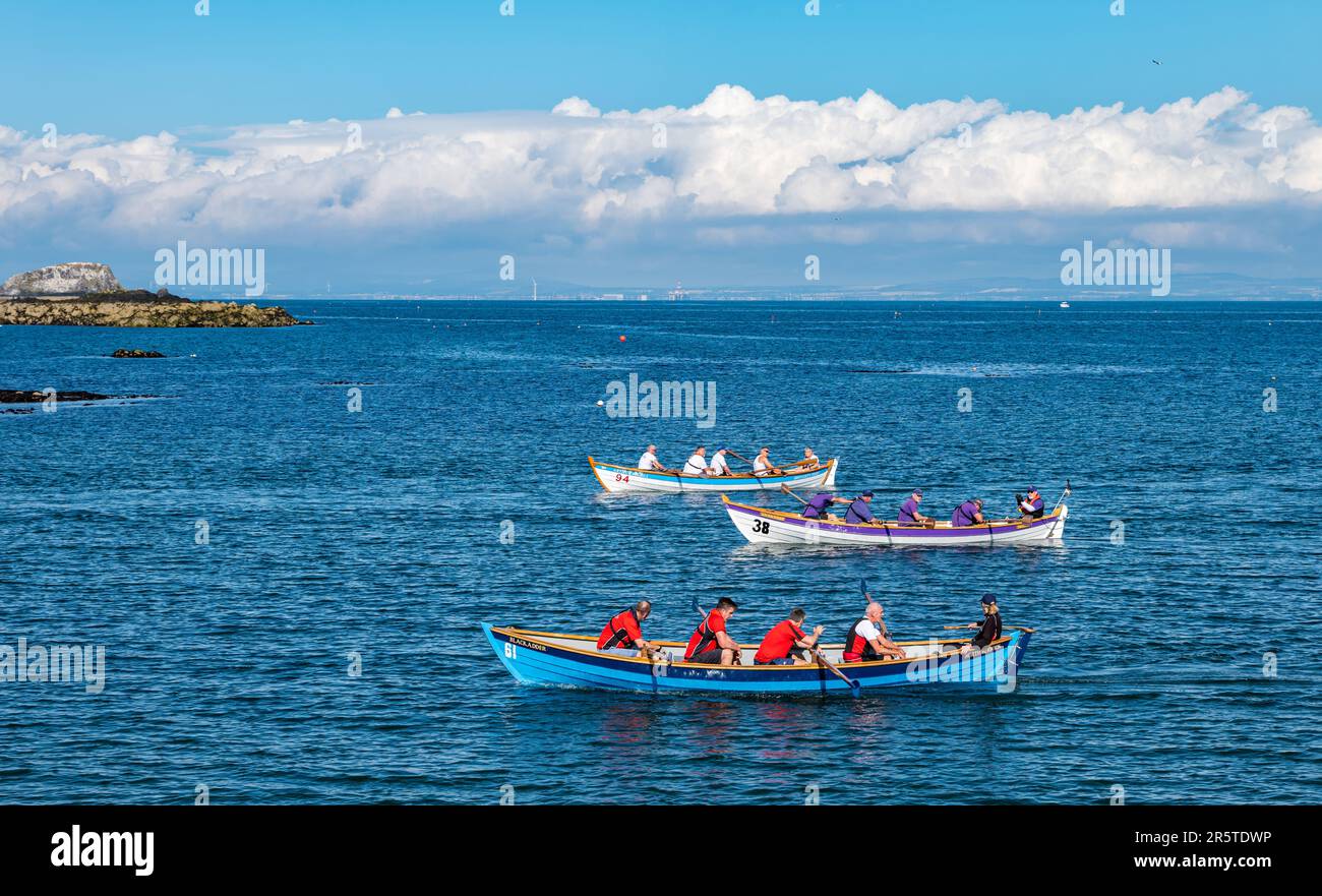 Crews rowing in St Ayles' skiffs boats in coastal rowing regatta in sunny weather, Firth of ...