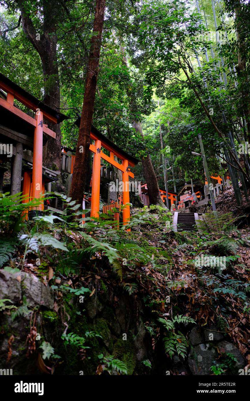 A vertical shot of the Fushimi Inari Taisha Shrine in a park in Kyoto ...