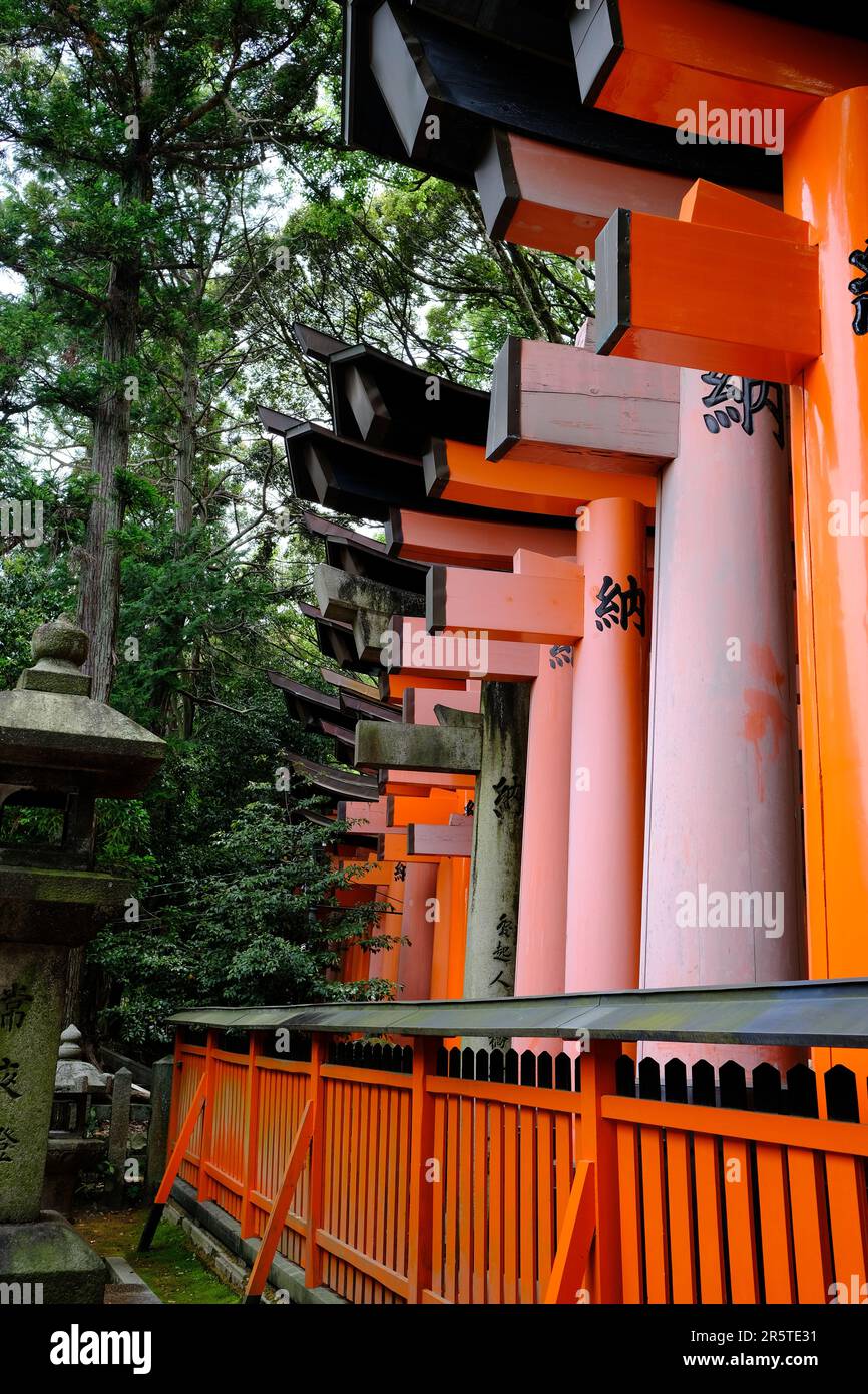 A vertical shot of the Fushimi Inari Taisha Shrine in a park in Kyoto ...