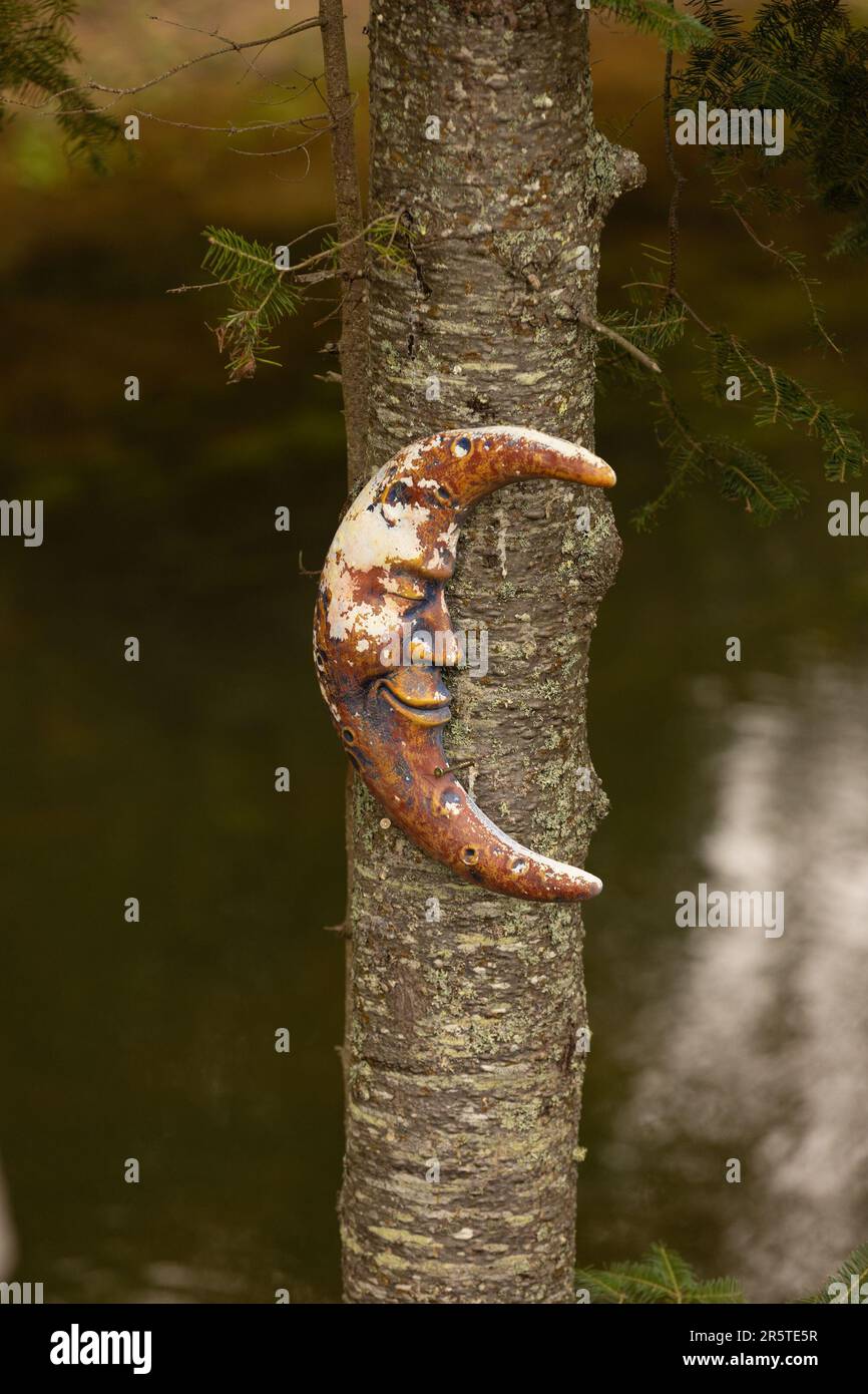 A close-up view of a crescent moon nestled in the branches of an ...