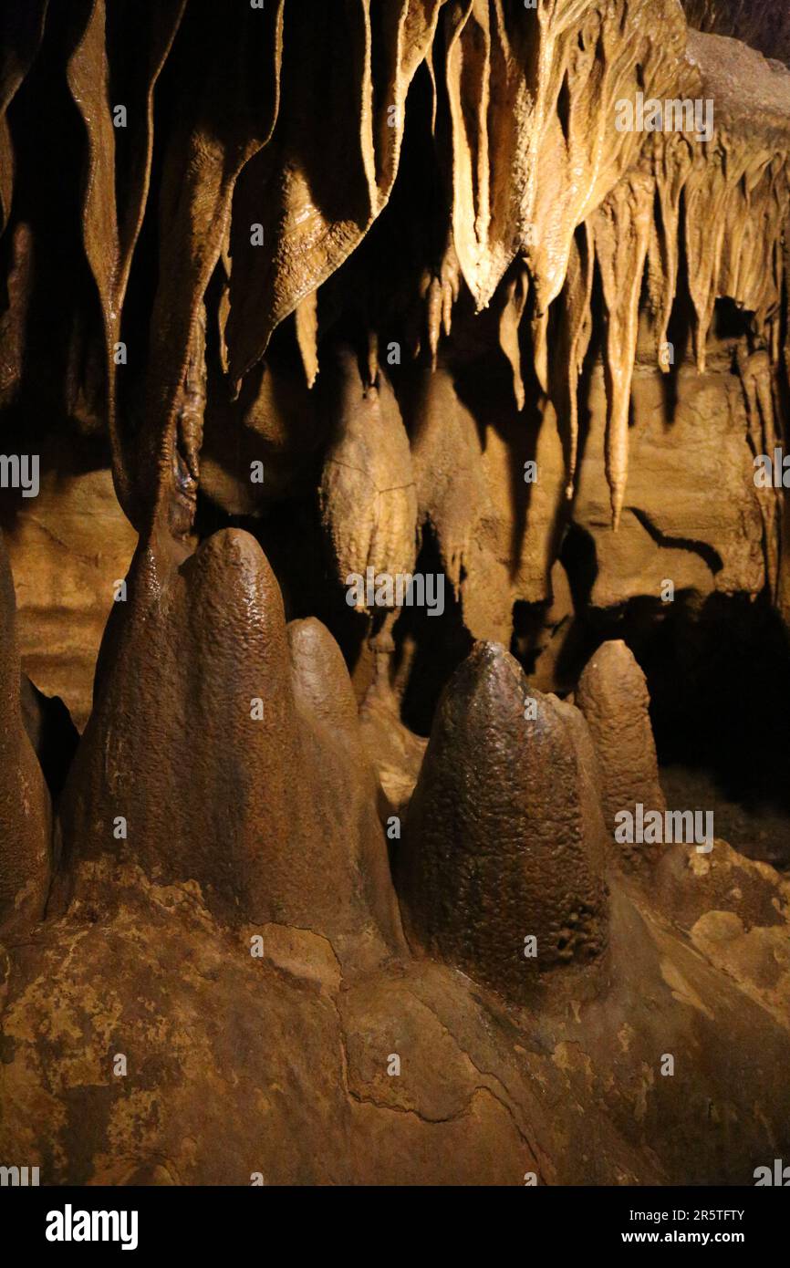An image of an expansive, underground cave featuring a wide variety of ...