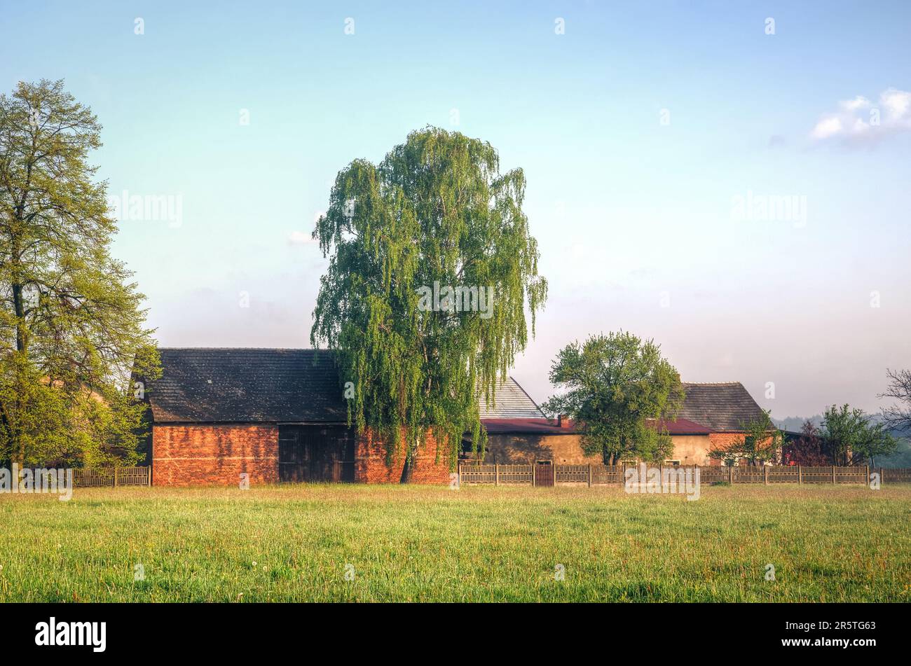 Spring rural landscape. The old barn in the countryside in the morning ...