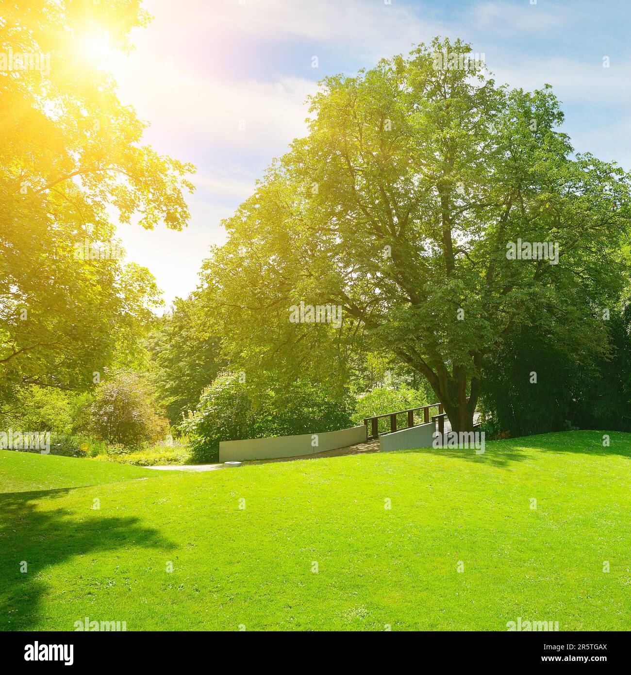 Sunshine scenic area with beautiful scenery hi-res stock photography ...