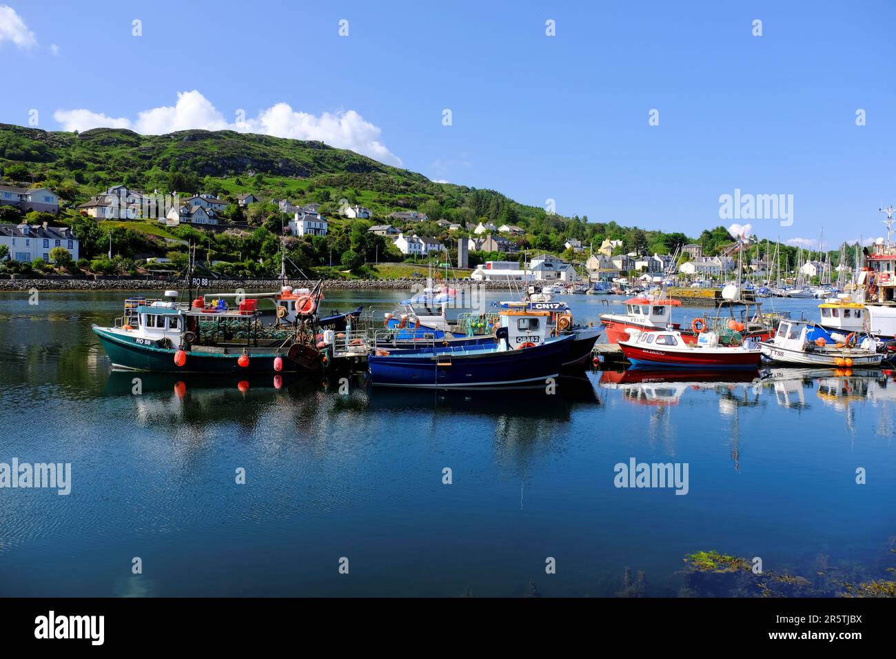 Tarbert, Scotland, UK. 5th June 2023. Glorious warm and sunny weather ...