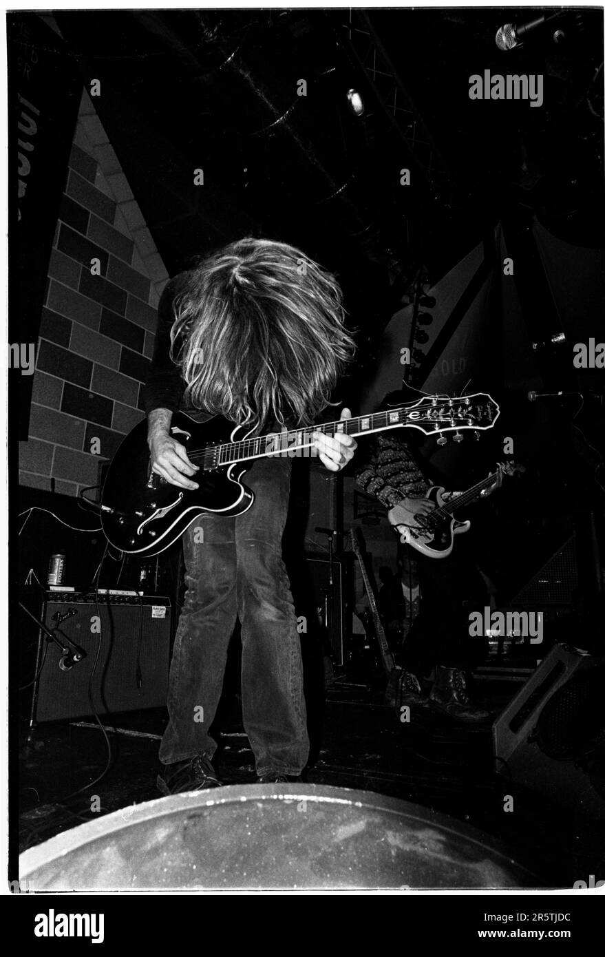 The hinnies Black and White Stock Photos & Images - Alamy