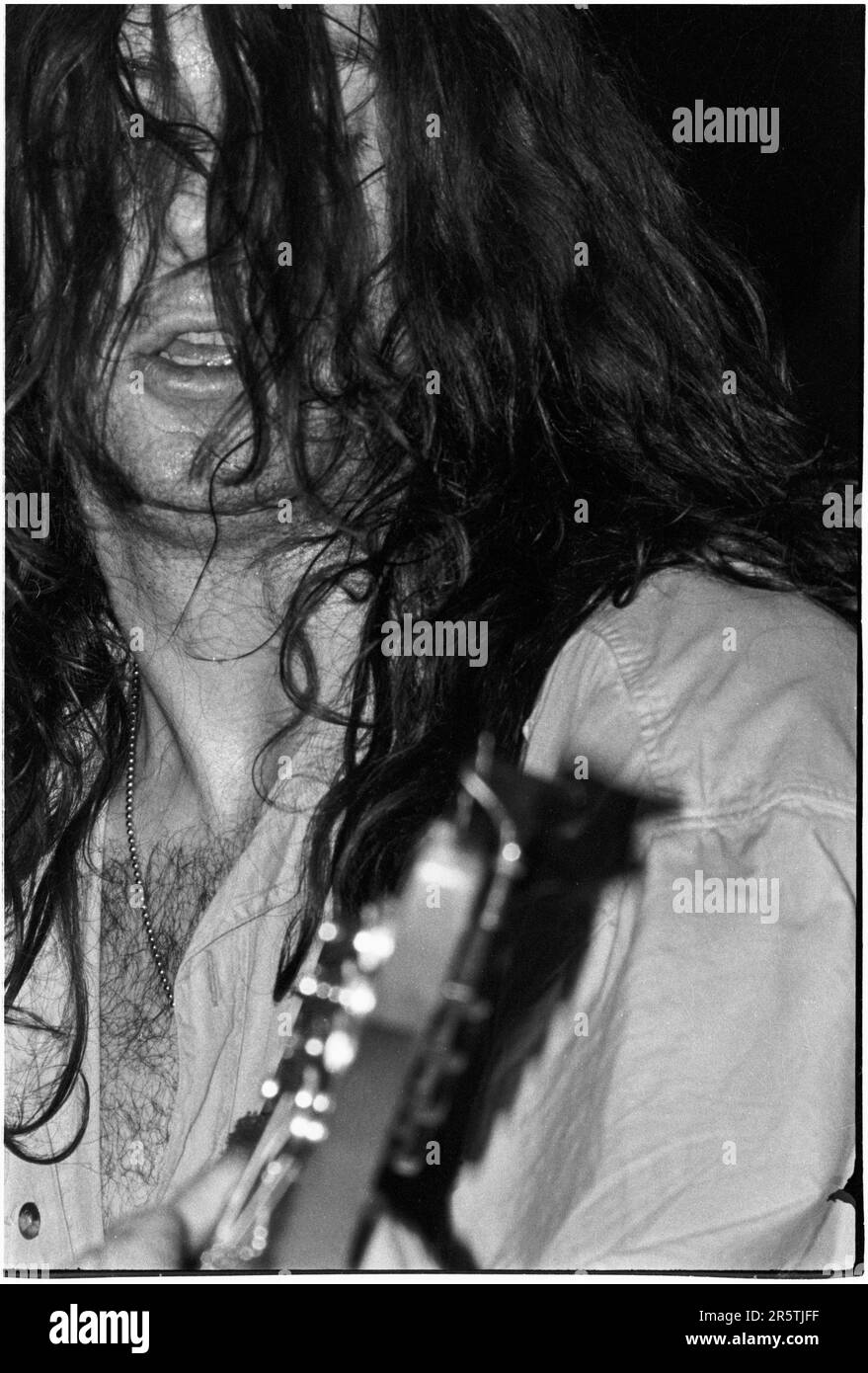 Tabitha zu hi-res stock photography and images - Alamy