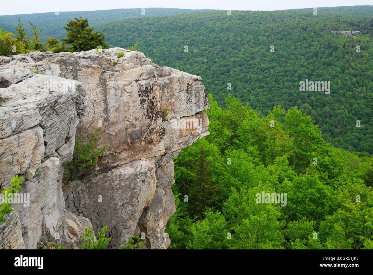 Lions Head rock formation with green forest in background of Dolly Sods ...