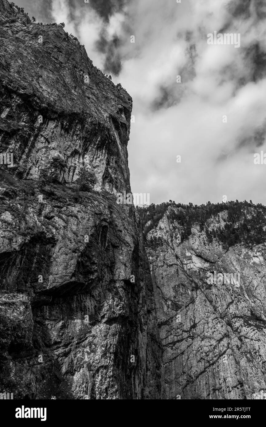 A grayscale of a cliff face in a mountainous landscape, with trees and ...