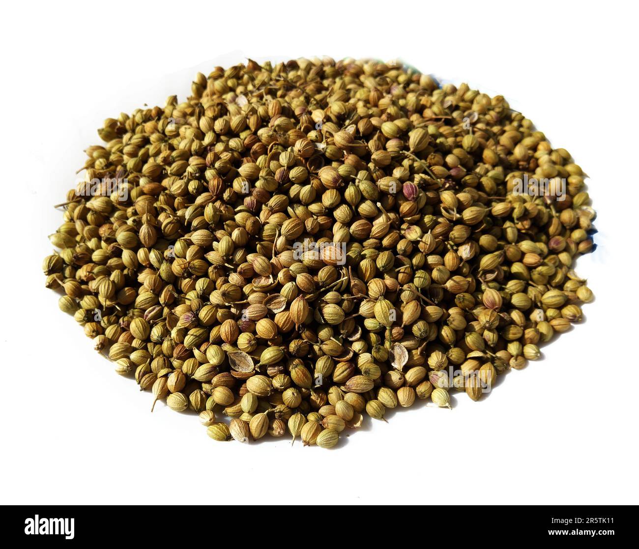 Coriander is an annual herb in the family Apiaceae. It is also known as ...