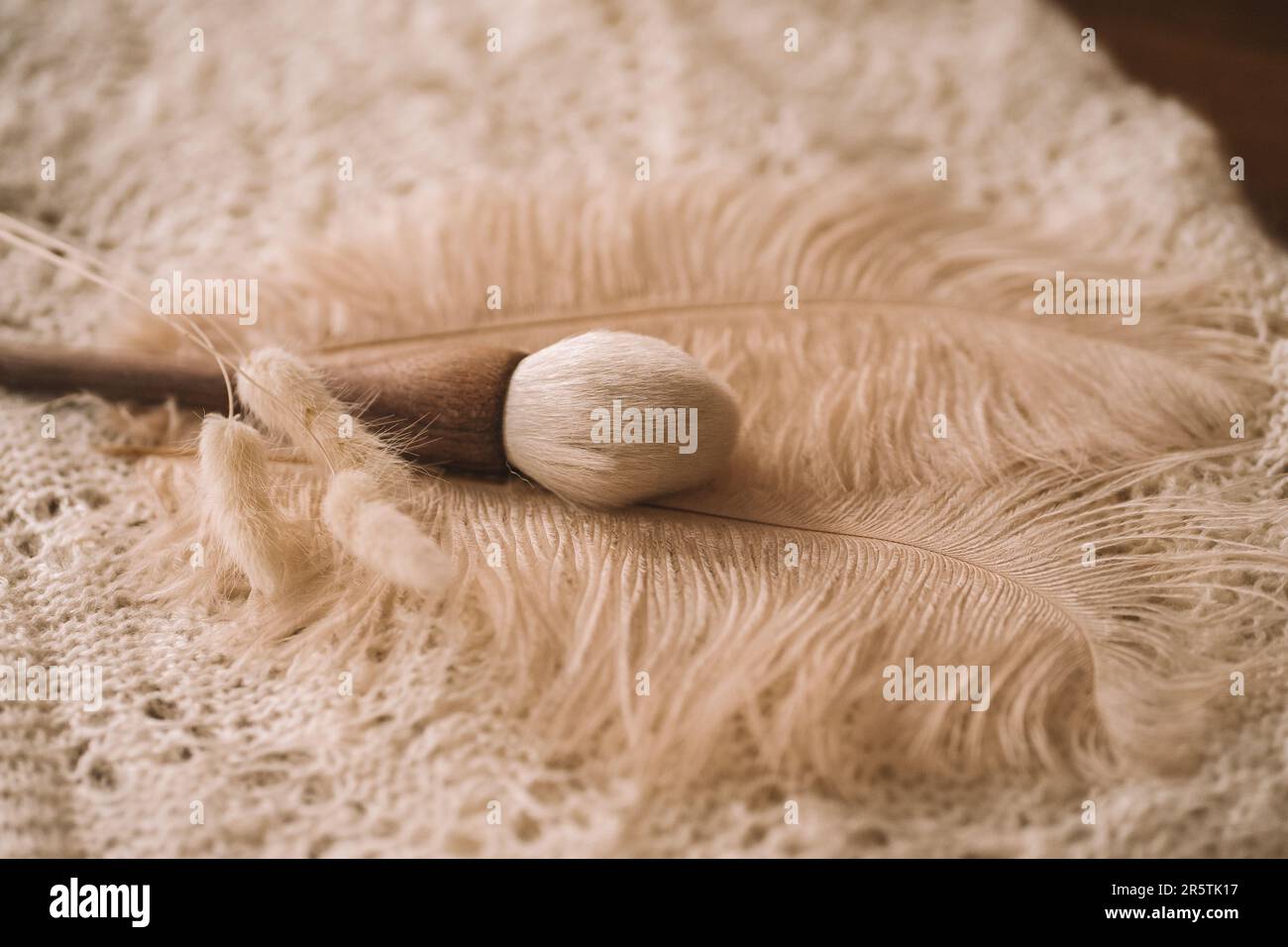 A white background featuring two feathers and a ball arranged in a ...