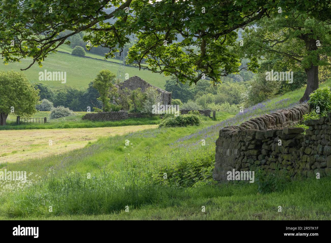 Part of field left uncut hi-res stock photography and images - Alamy