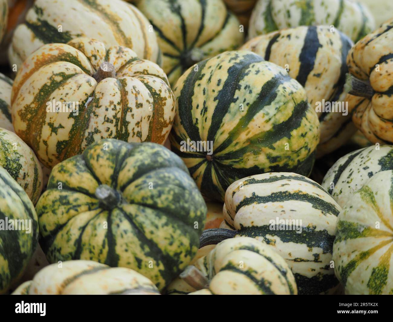 Overflowing cornucopia hi-res stock photography and images - Alamy