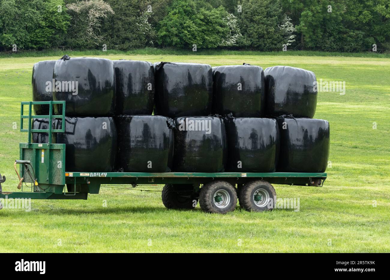 Silage bales wrapped in plastic loaded onto a trailer ready for ...