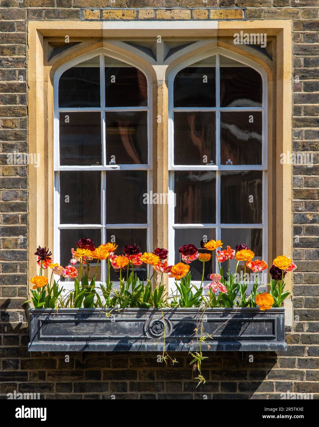 A pretty view of a window basket with flowers at Middle Temple in the ...