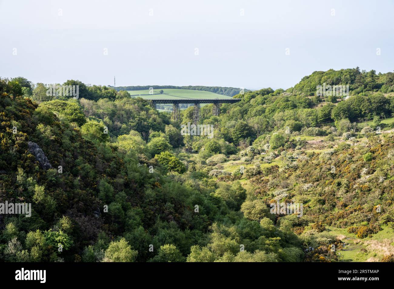 Scrub and young woodland fills the West Okement River valley beneath ...