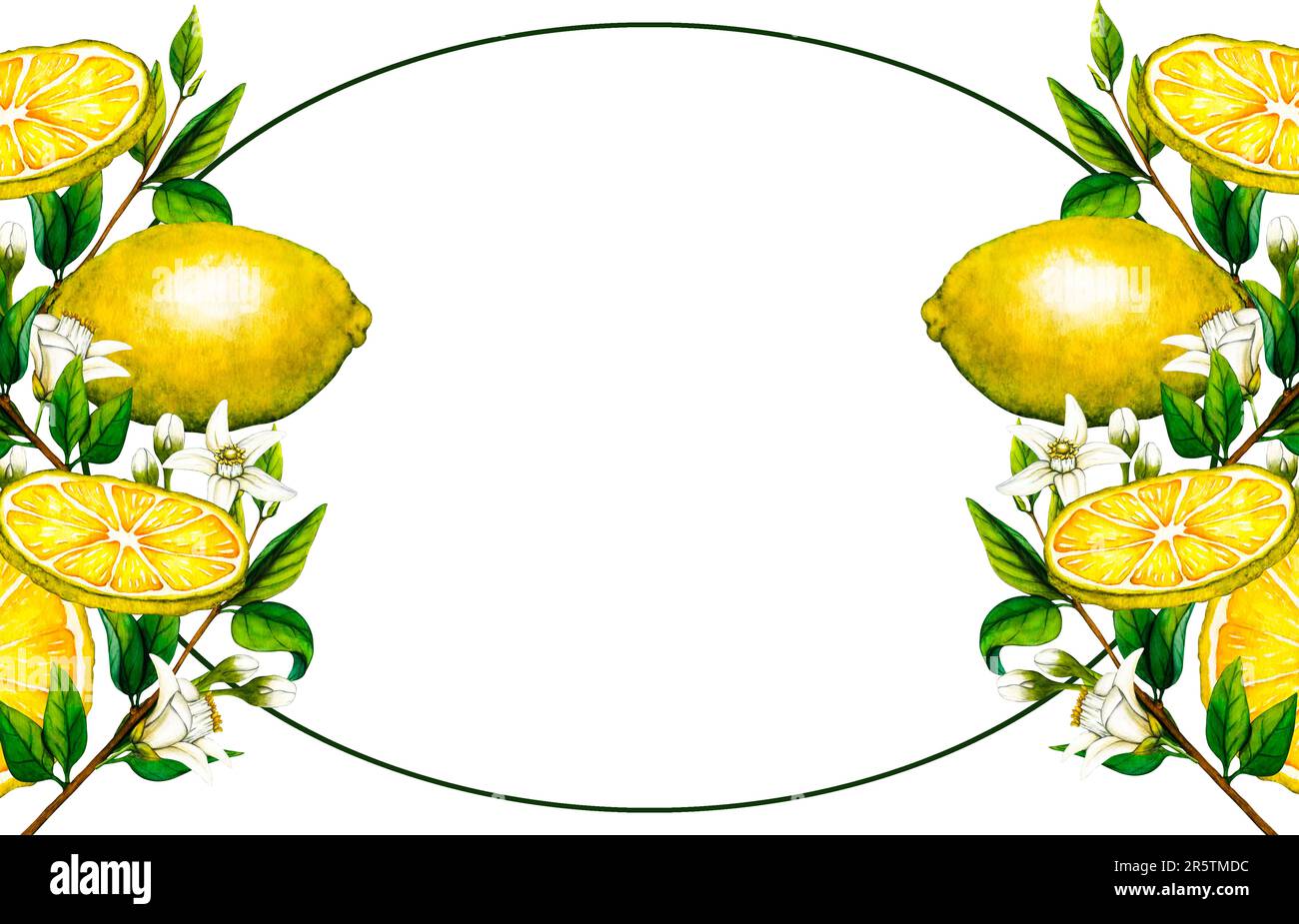 Watercolor frame lemon tree branch with flowers isolated on white ...