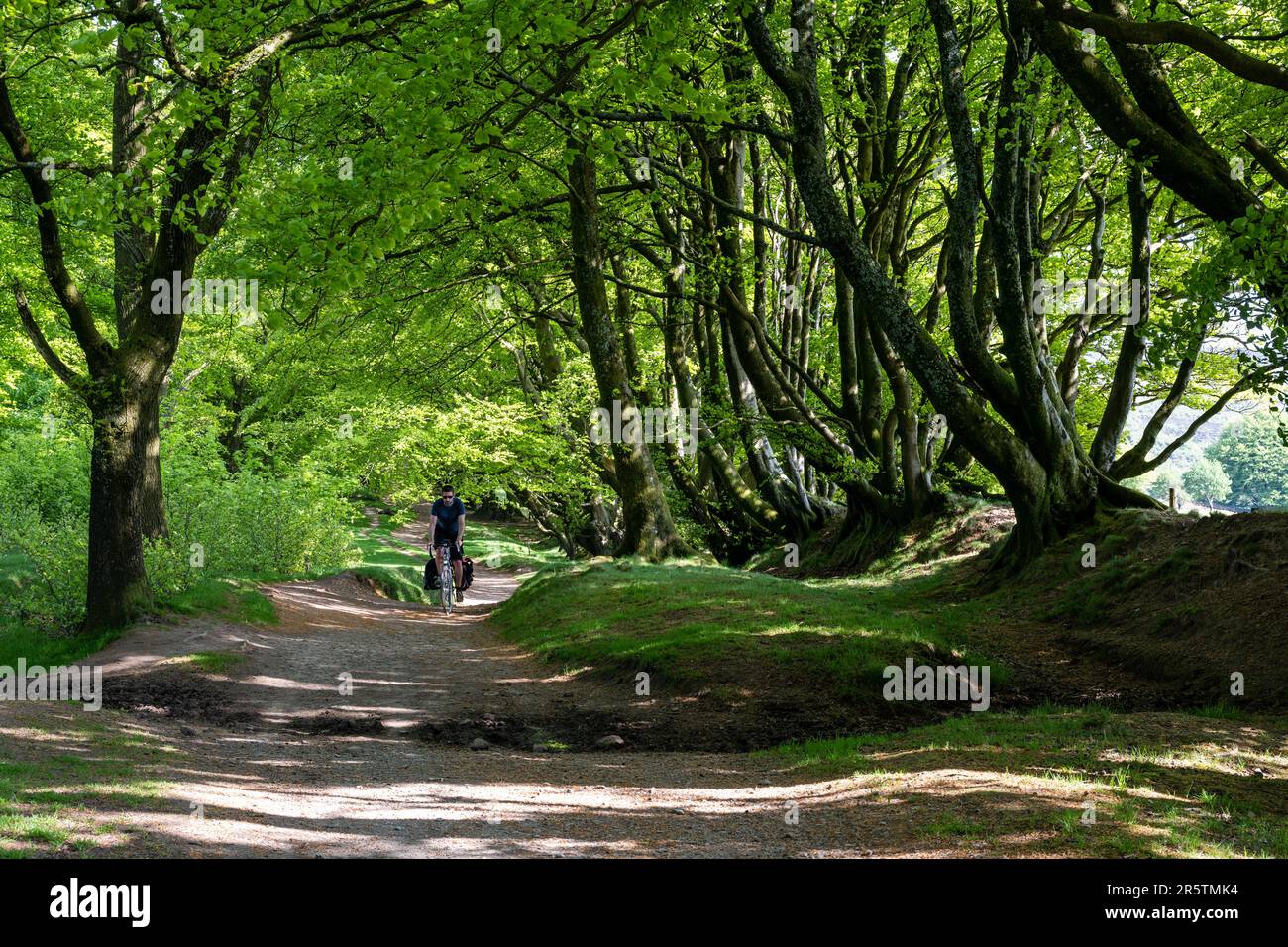 Quantocks cycling hi-res stock photography and images - Alamy