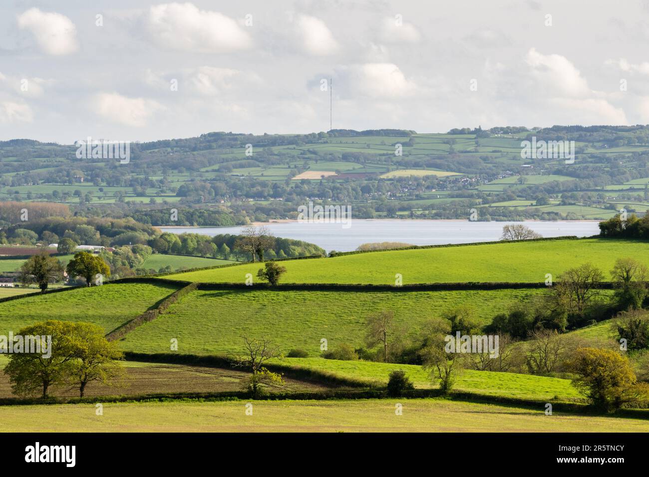 Harptree hi-res stock photography and images - Alamy