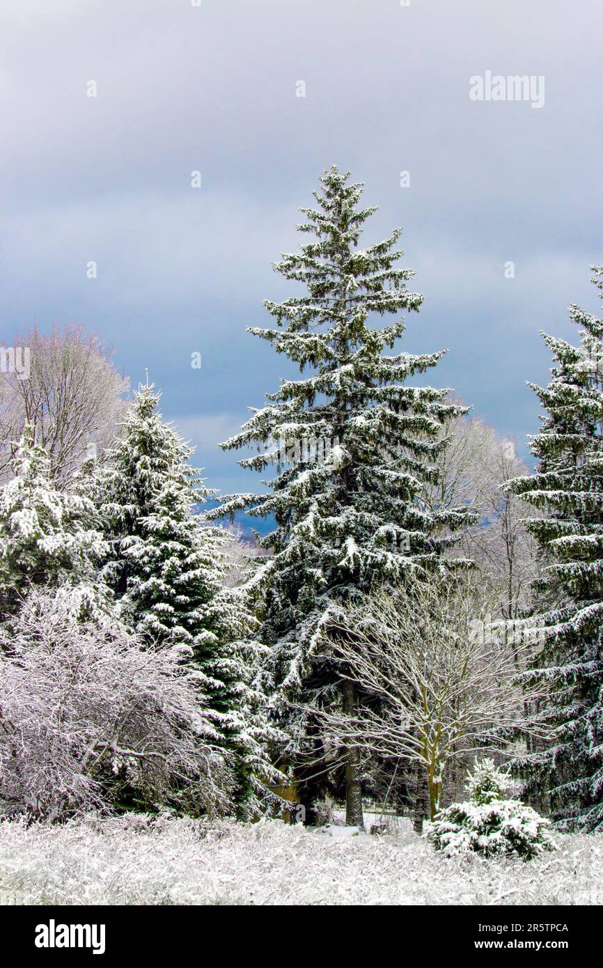 Snowy winter scene mountains hi-res stock photography and images - Alamy
