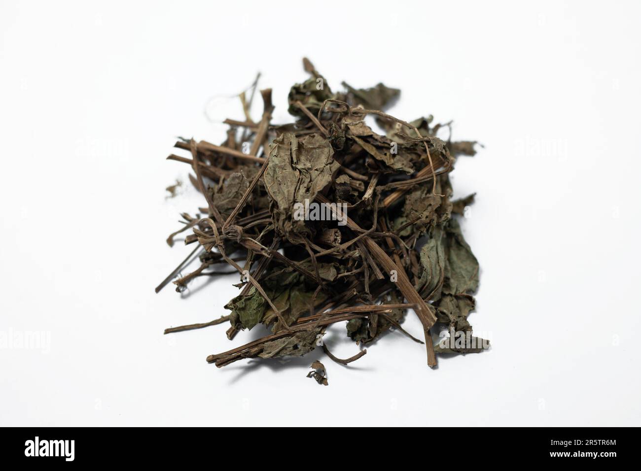 Dried Piper lolot leaves, betel leaves taken close-up with a white ...