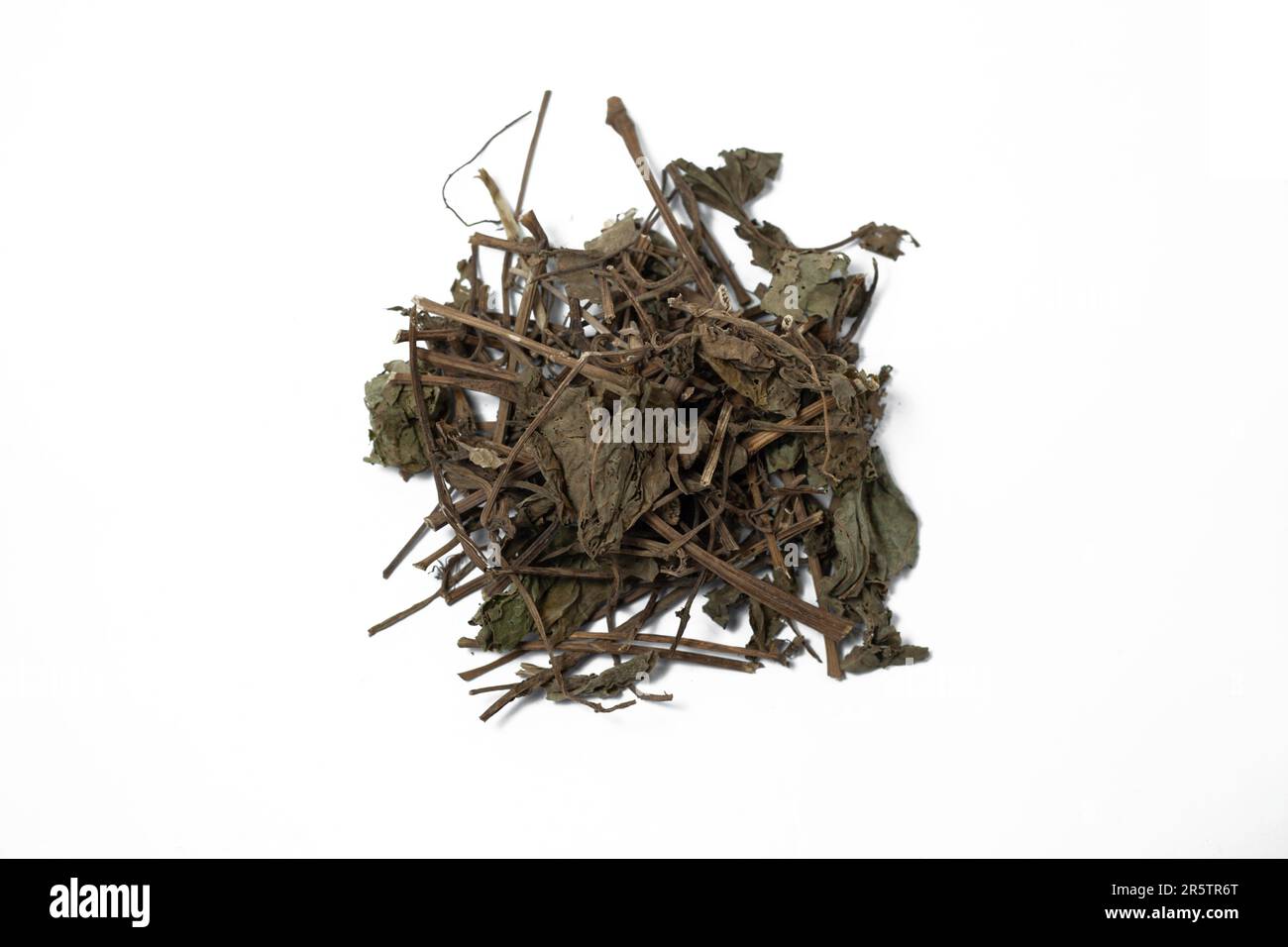 Dried Piper lolot leaves, betel leaves taken close-up with a white ...